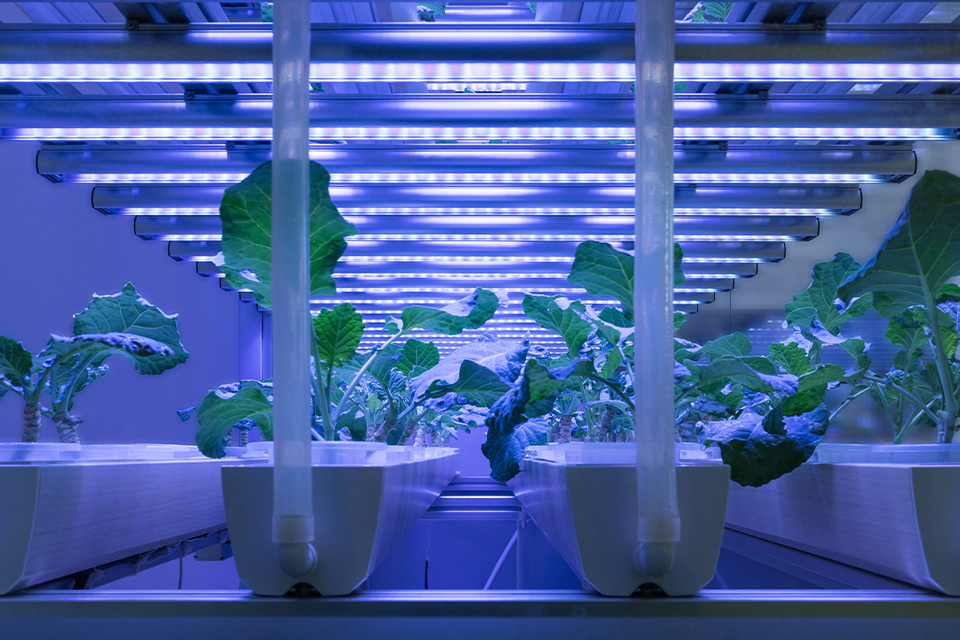 Agriculture incentives with the Retrofit program | Save on Energy