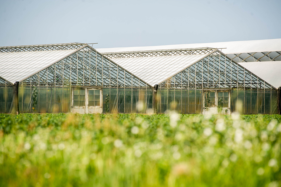 Agriculture incentives with the Retrofit program | Save on Energy